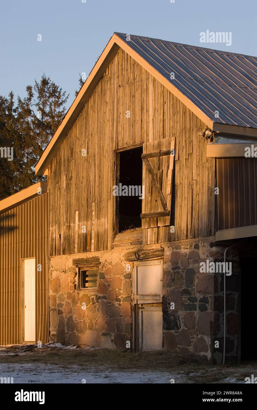Solid stone horse hi-res stock photography and images - Alamy