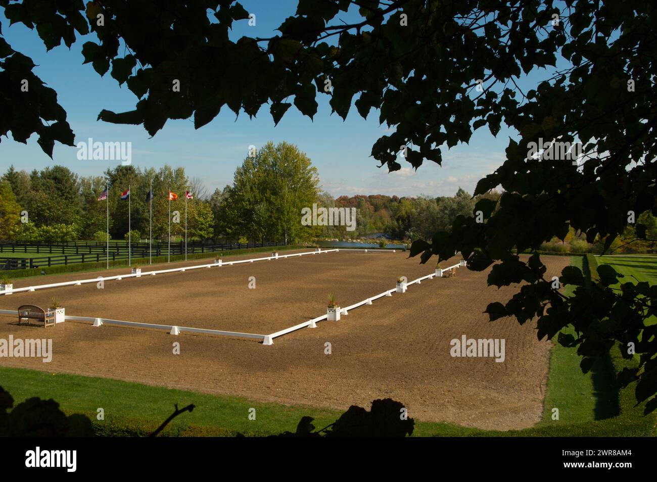 Dressage footing hi-res stock photography and images - Alamy