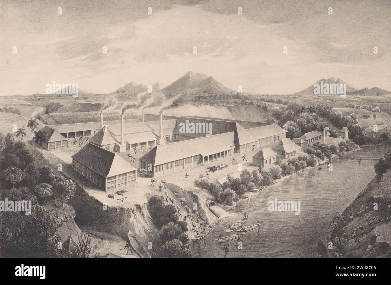 Serpon domain hi-res stock photography and images - Alamy