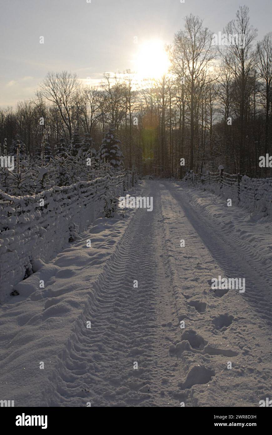 JYDERUP/DENMARK First snow fall in jyderup danish country side vilage ...