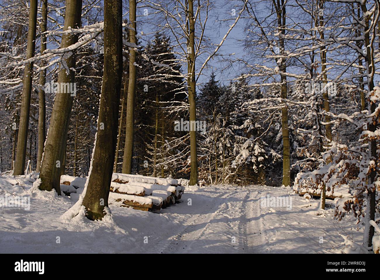 JYDERUP/DENMARK First snow fall in jyderup danish country side vilage ...