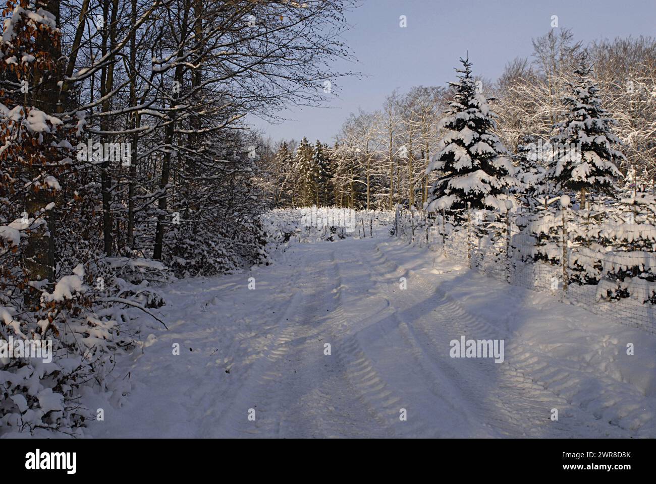 JYDERUP/DENMARK First snow fall in jyderup danish country side vilage ...