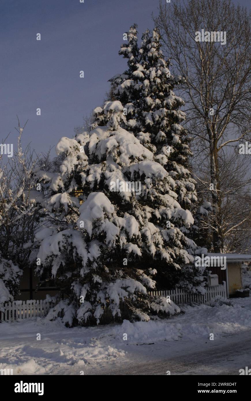 JYDERUP/DENMARK First snow fall in jyderup danish country side vilage ...