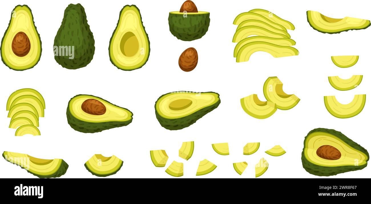 Cartoon fresh avocados. Whole avocado, halves with pit, sliced and ...