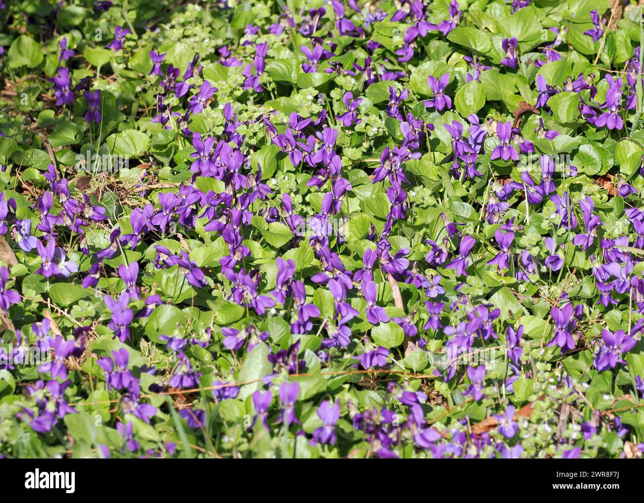 Lat 47 46402494 hi-res stock photography and images - Alamy