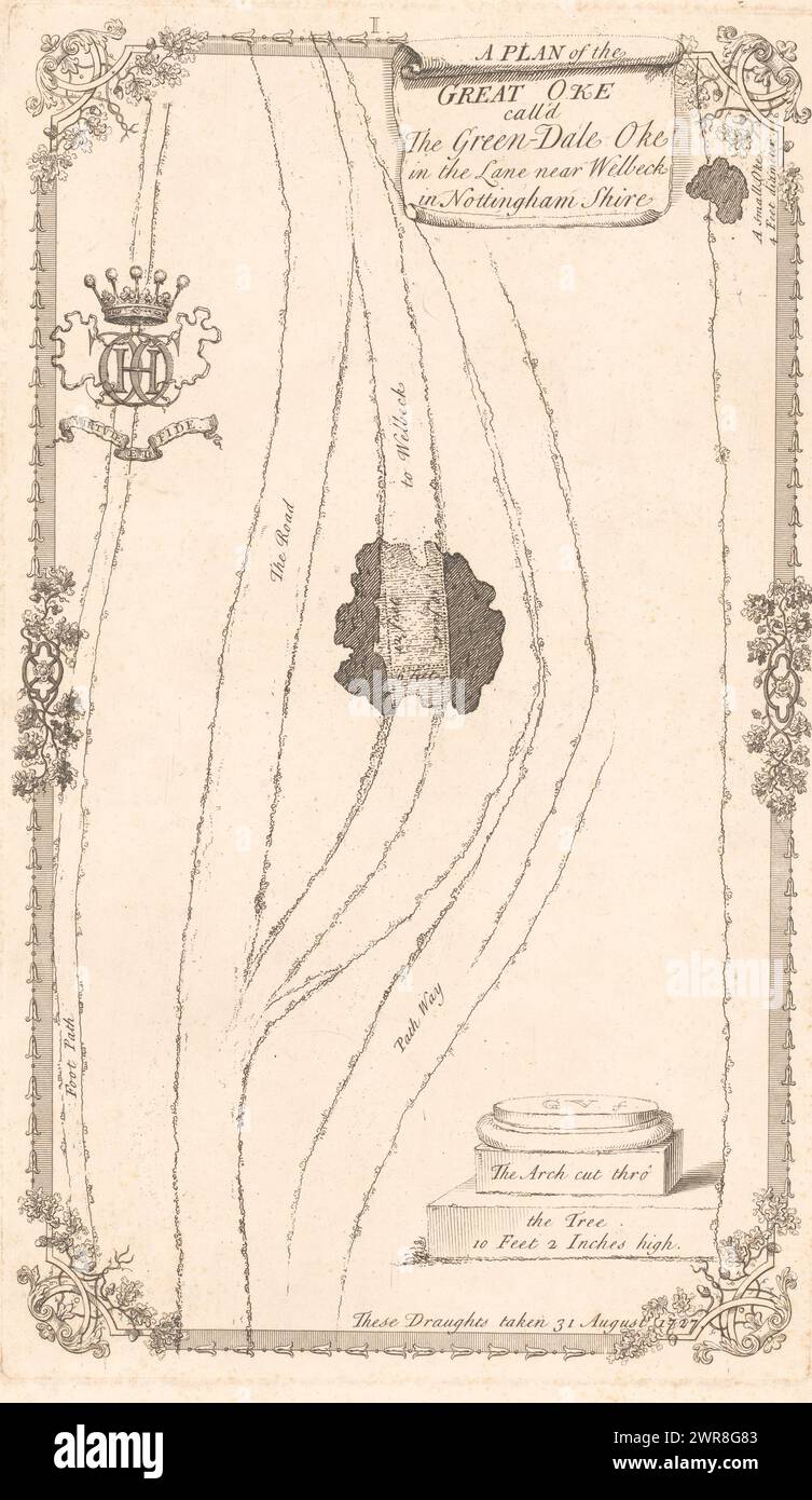 Map of the path through the Greendale Oak, A plan of the great oke ...