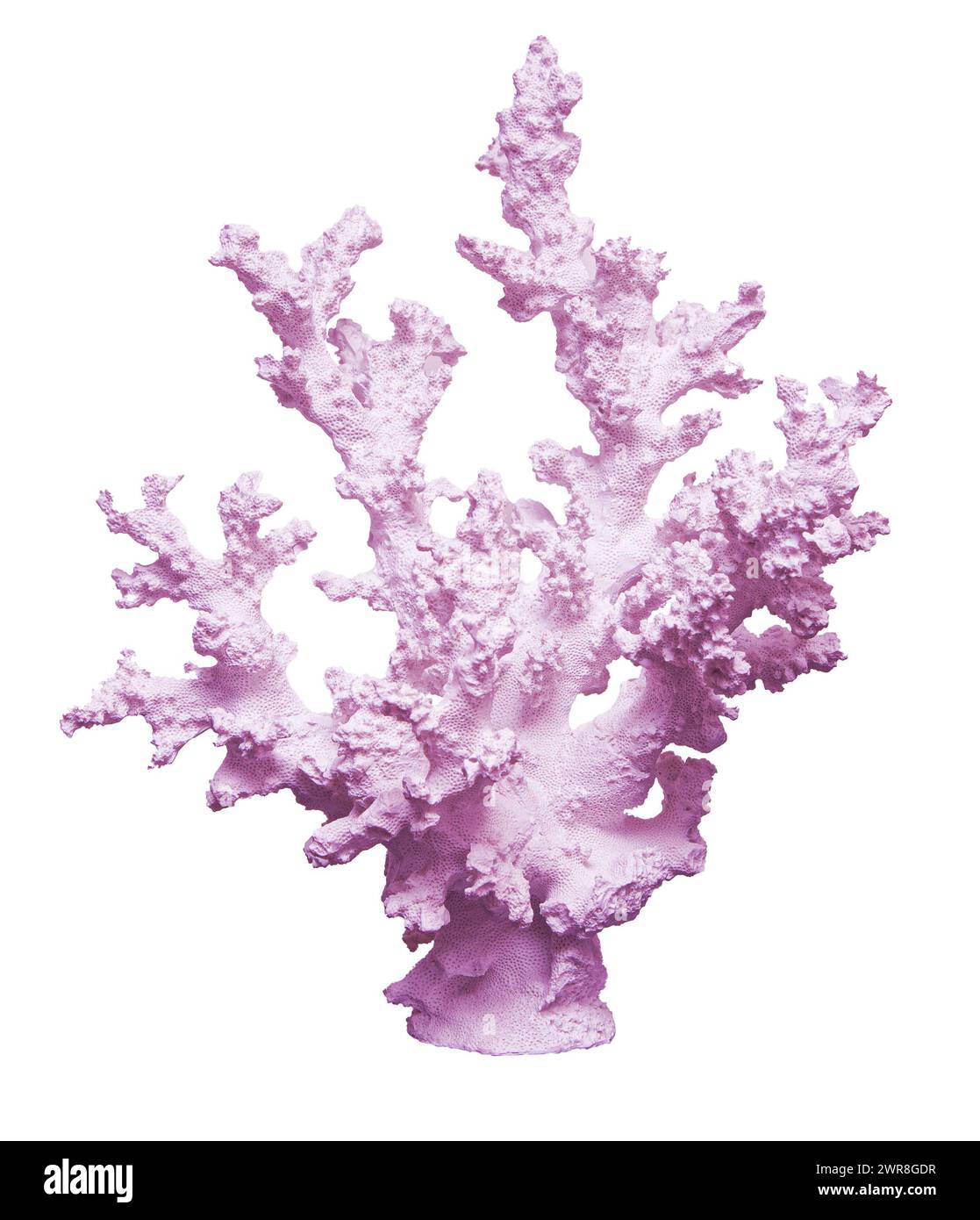 Corals on sea background Cut Out Stock Images & Pictures - Alamy