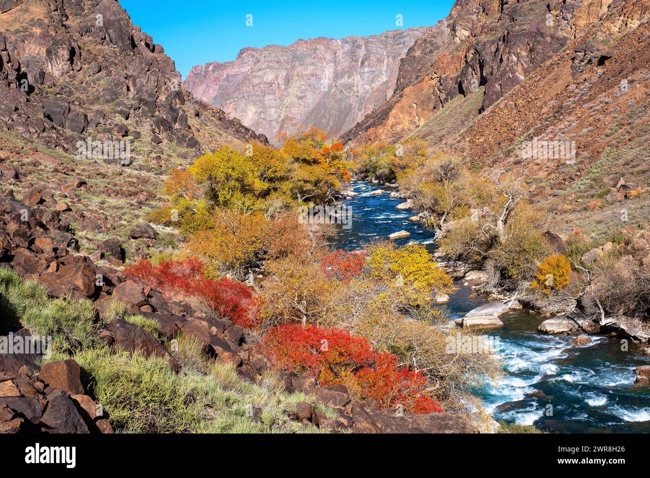 Magical atmosphere of autumn in a canyon with a river and granite rocks ...