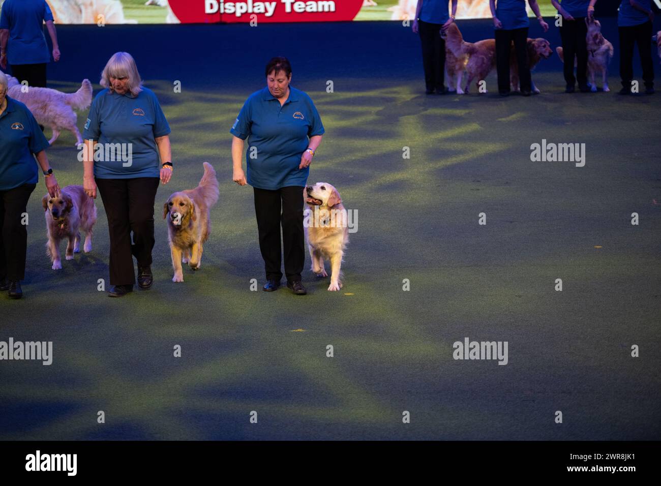 Crufts 2024 display team hi-res stock photography and images - Alamy