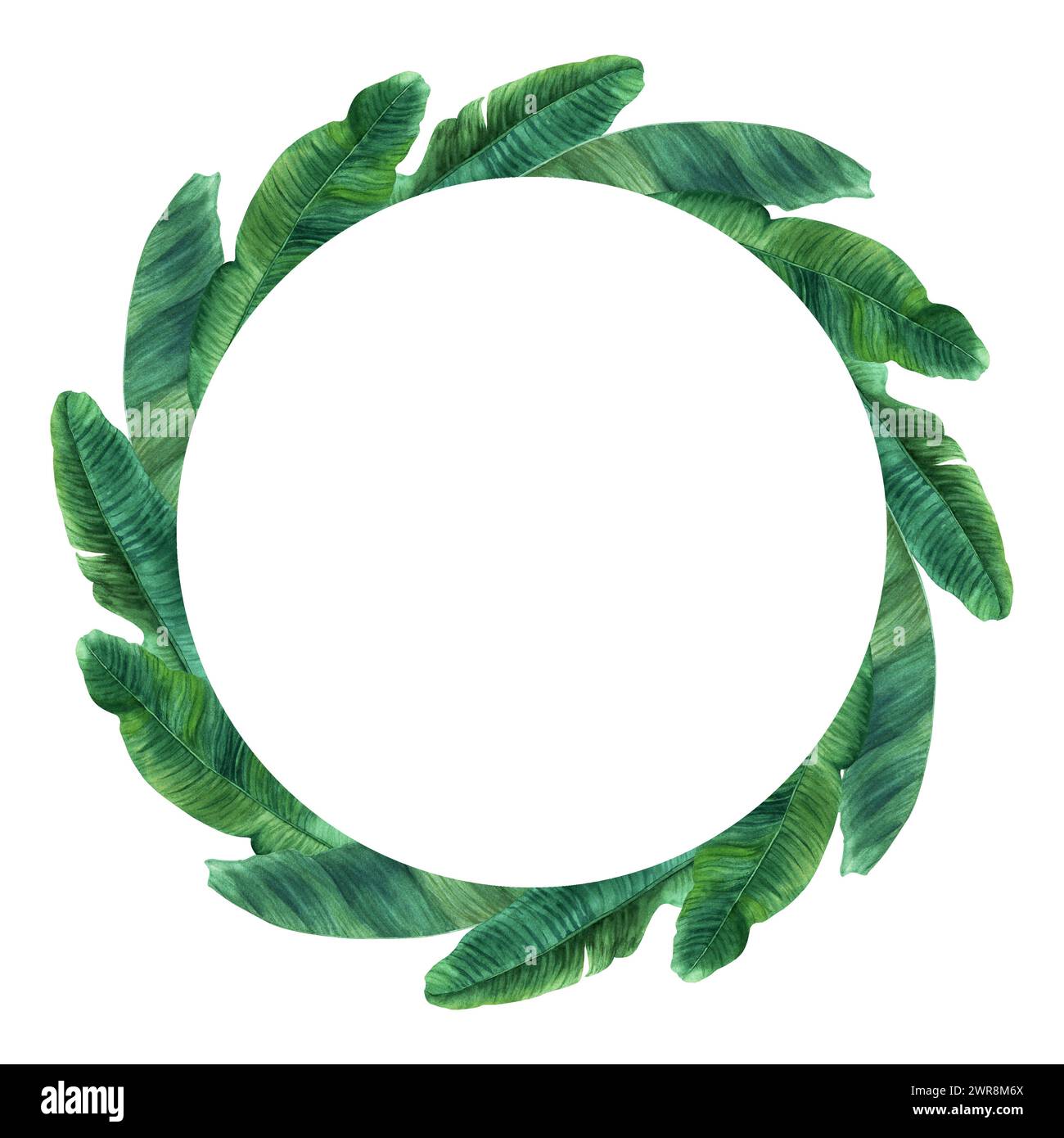 Watercolor wreath frame with banana tree leaves. Hand drawn botanical ...