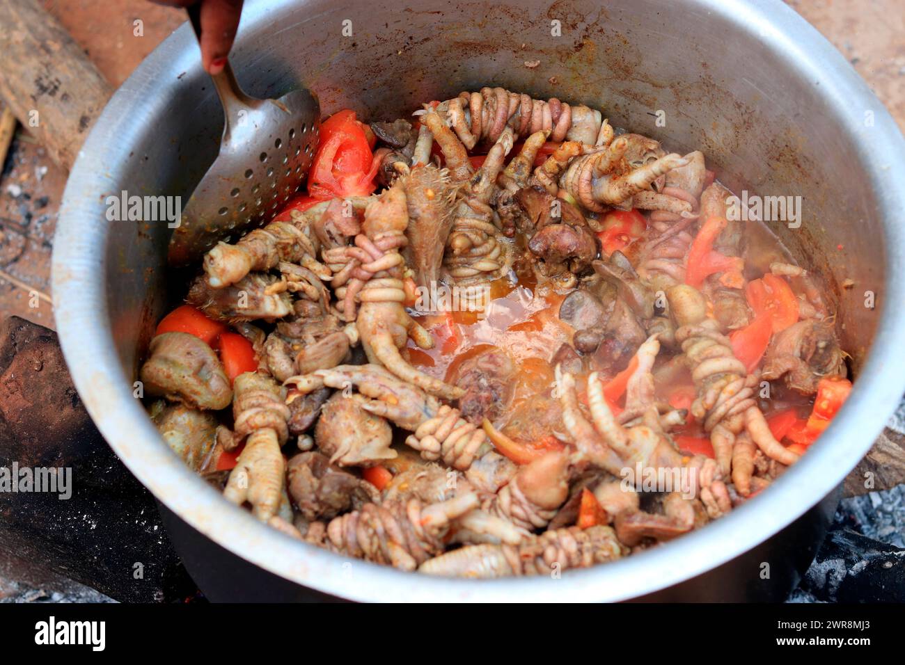 A pot of chicken stew is seen on an open fire. The meal was ready to be ...