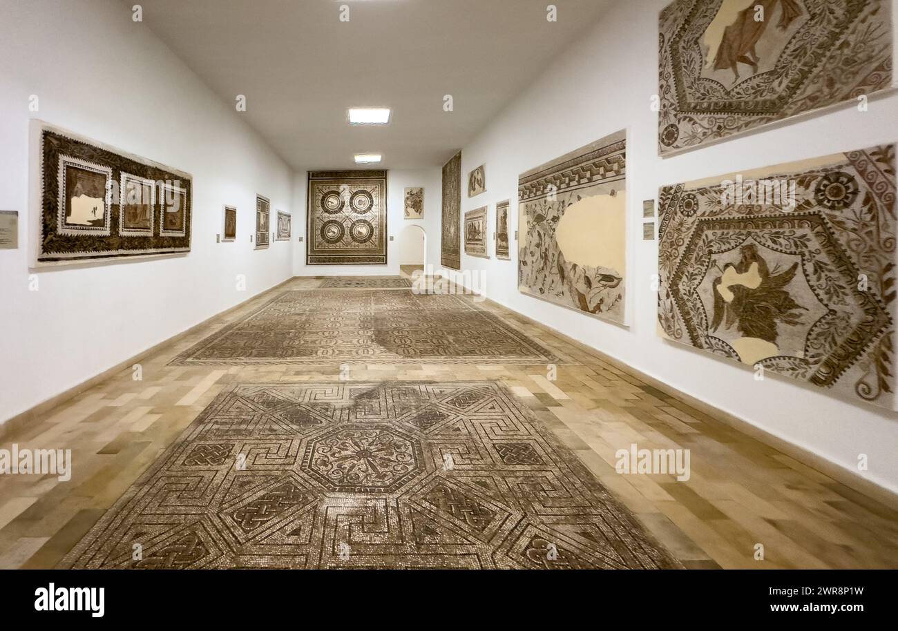Roman mosaics on display inside the El Jem Archaeological Museum ...