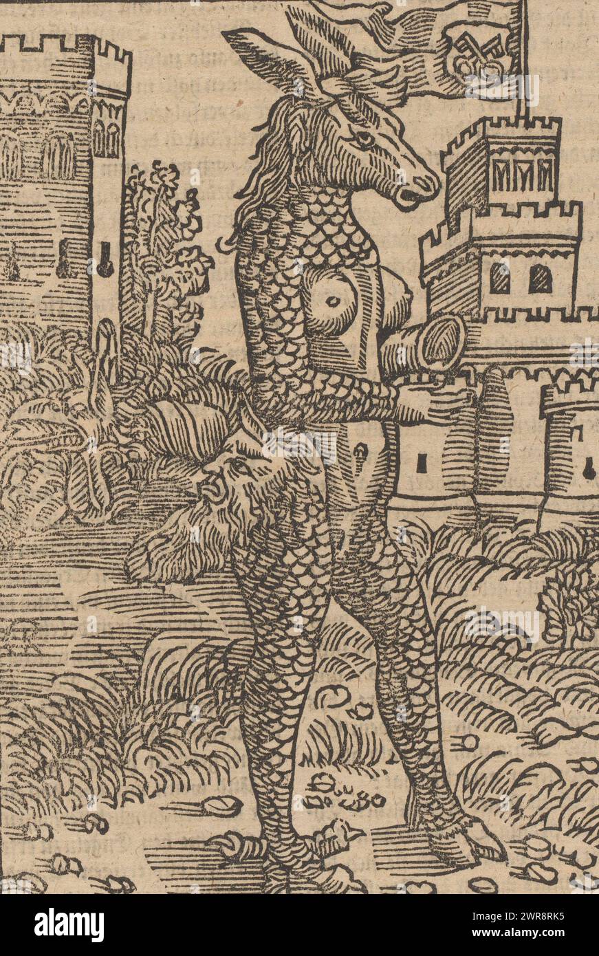 Deformed donkey hi-res stock photography and images - Alamy