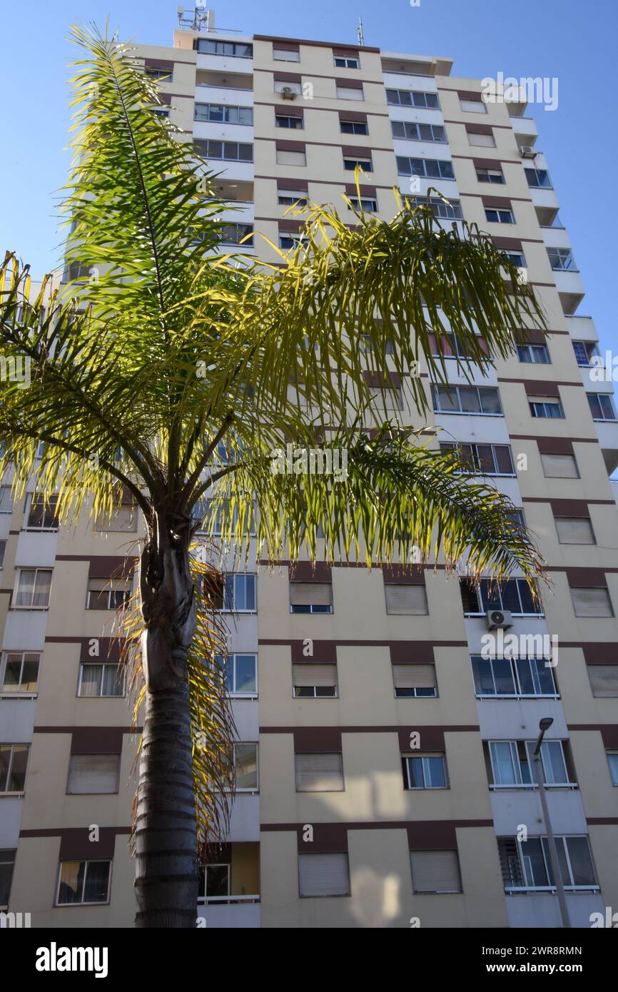 Architecture à Faro, Portugal Stock Photo - Alamy