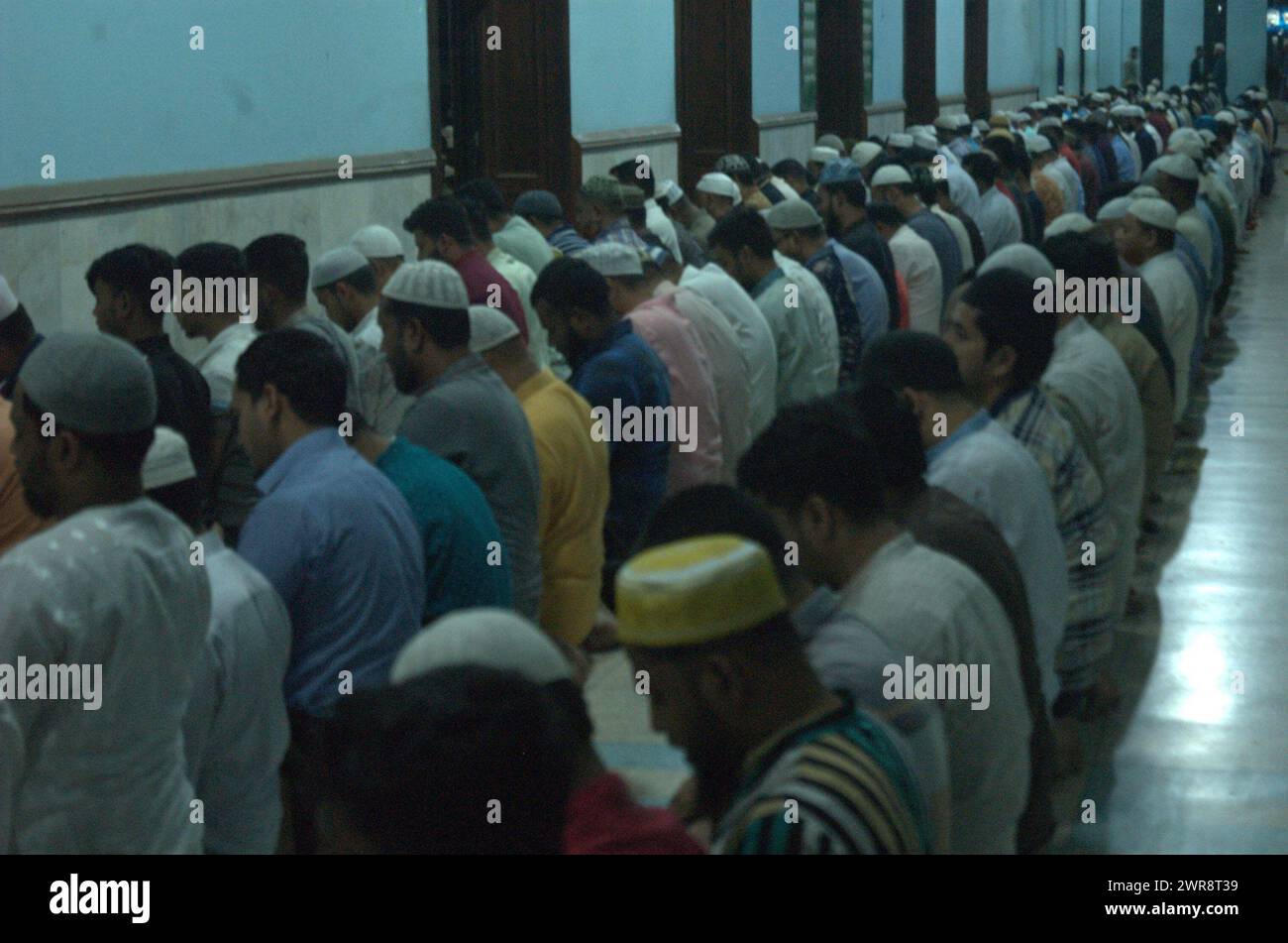 Tarabi hi-res stock photography and images - Alamy