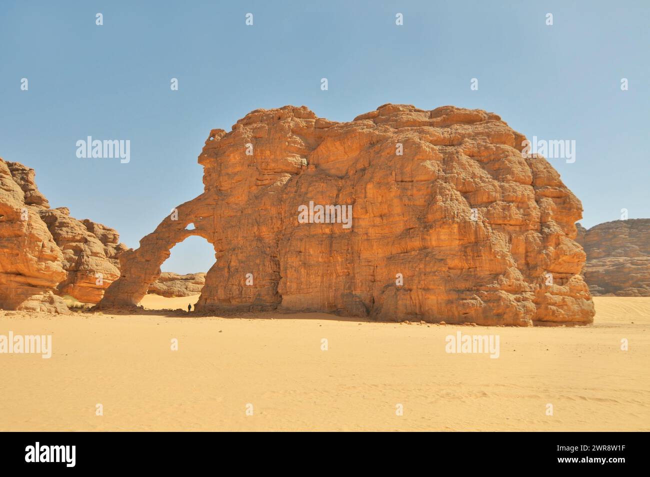 Erodible rock formations in shape of an elephant in the Sahara Desert ...