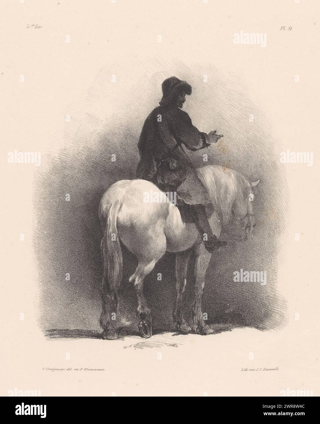 Original animal studies drawn hi-res stock photography and images - Alamy