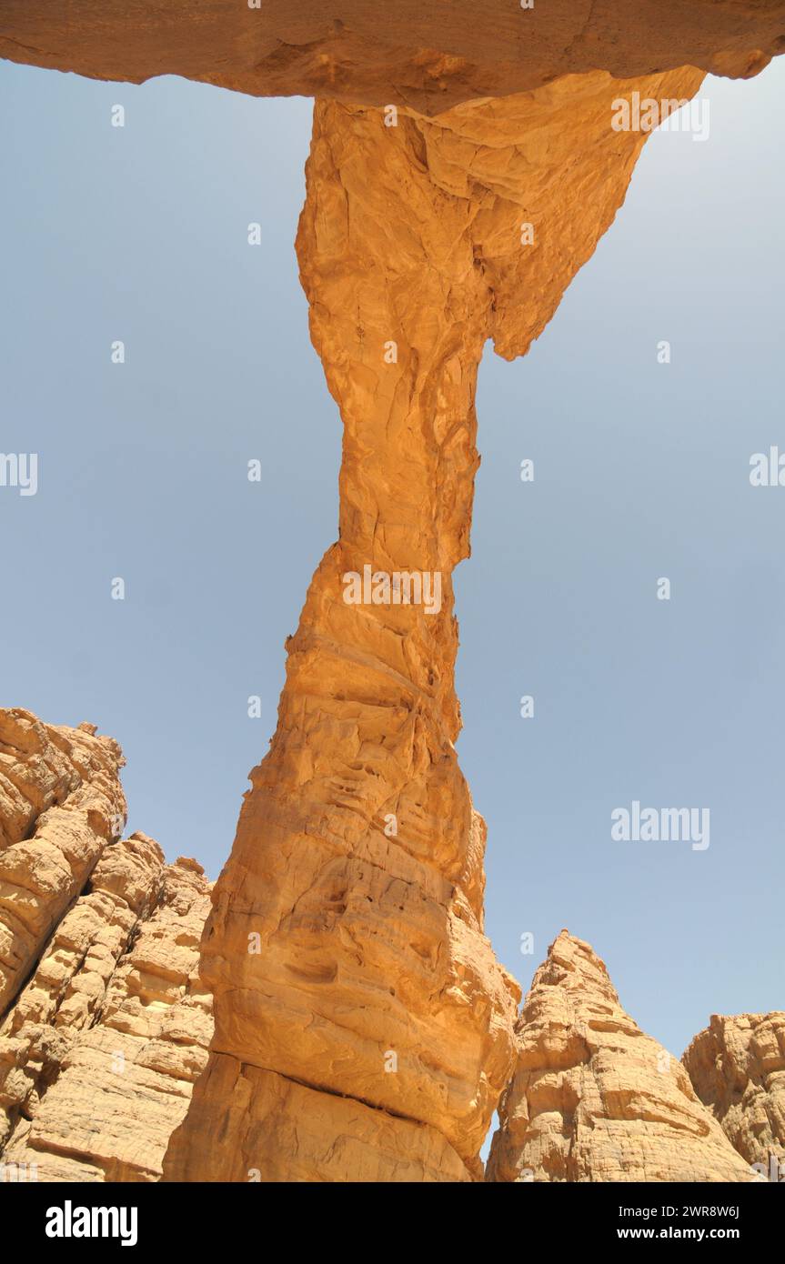 Erodible rock formations in shape of an elephant in the Sahara Desert ...