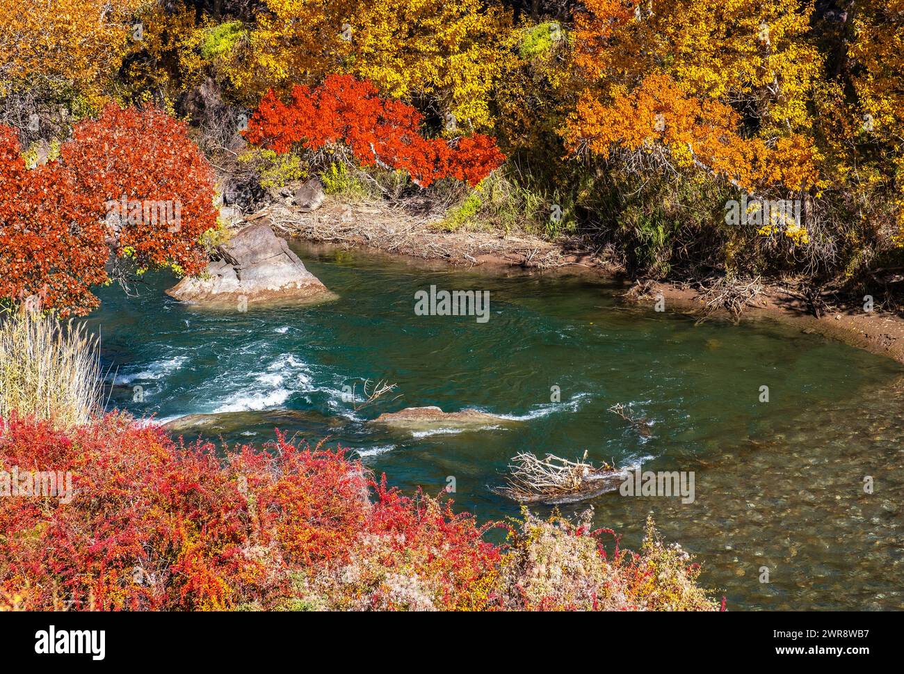 Crystal clear river water of rich blue shades surrounded by autumn ...