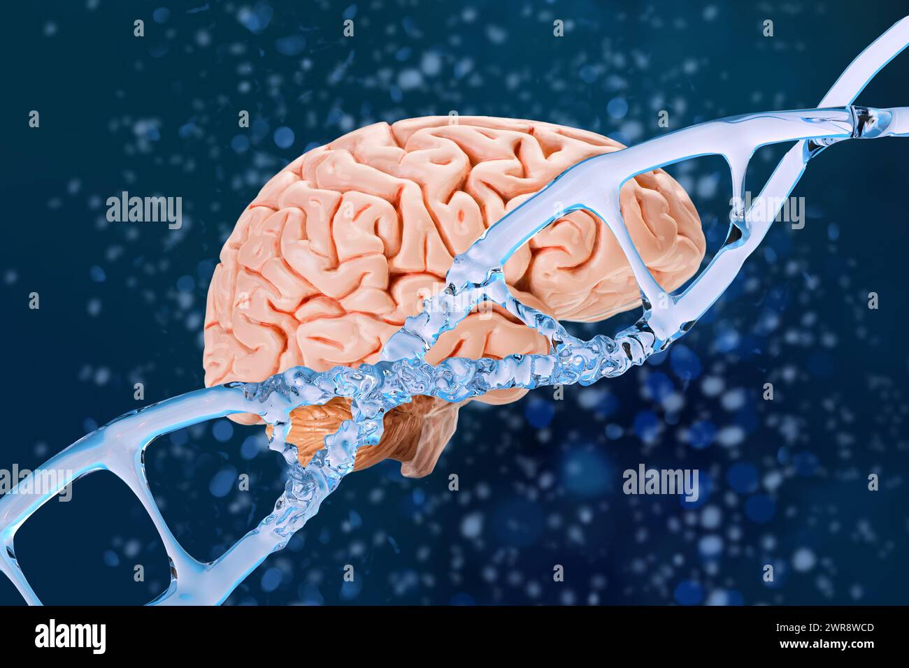 human brain, dna structure helix, deoxyribonucleic acid, nucleic ...