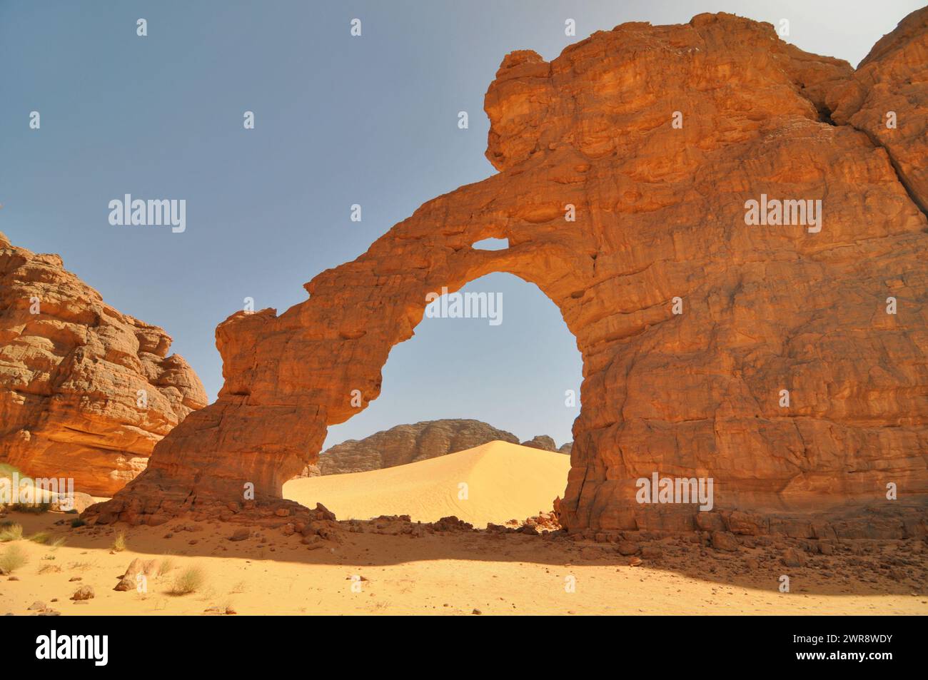 Erodible rock formations in shape of an elephant in the Sahara Desert ...