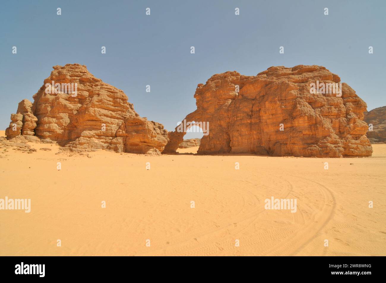 Erodible rock formations in shape of an elephant in the Sahara Desert ...