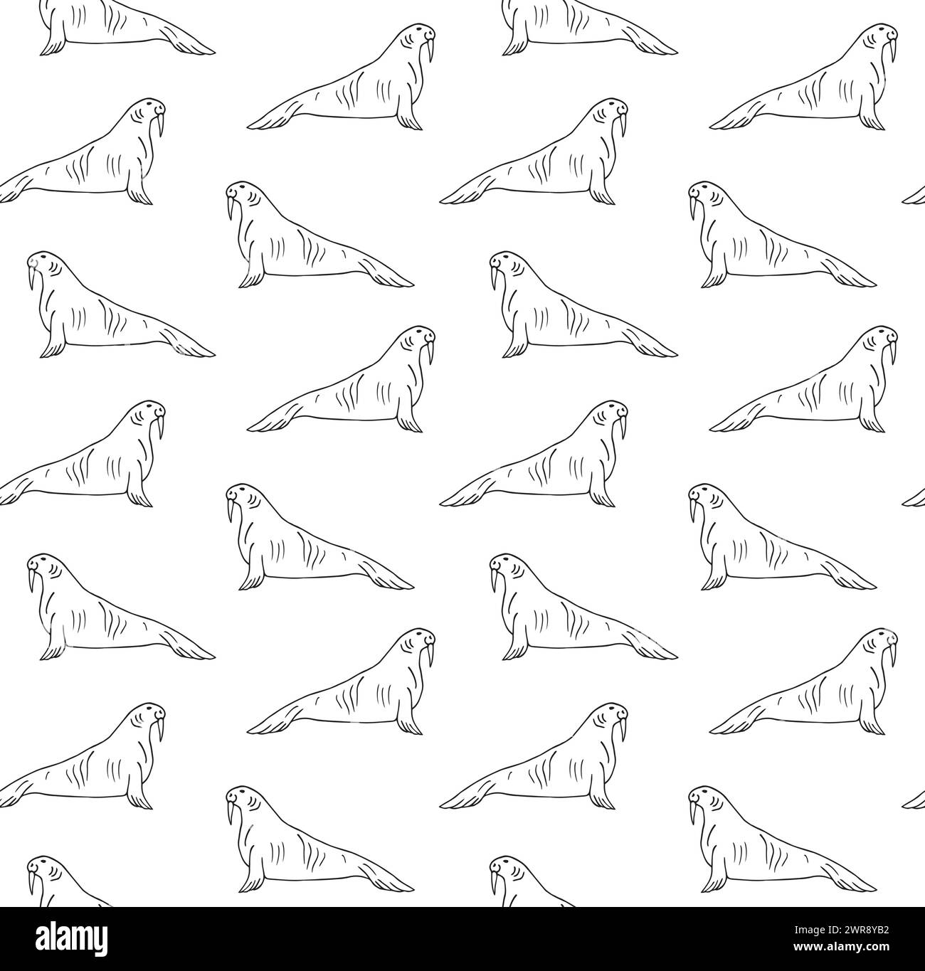 Vector seamless pattern of hand drawn doodle sketch walrus isolated on ...
