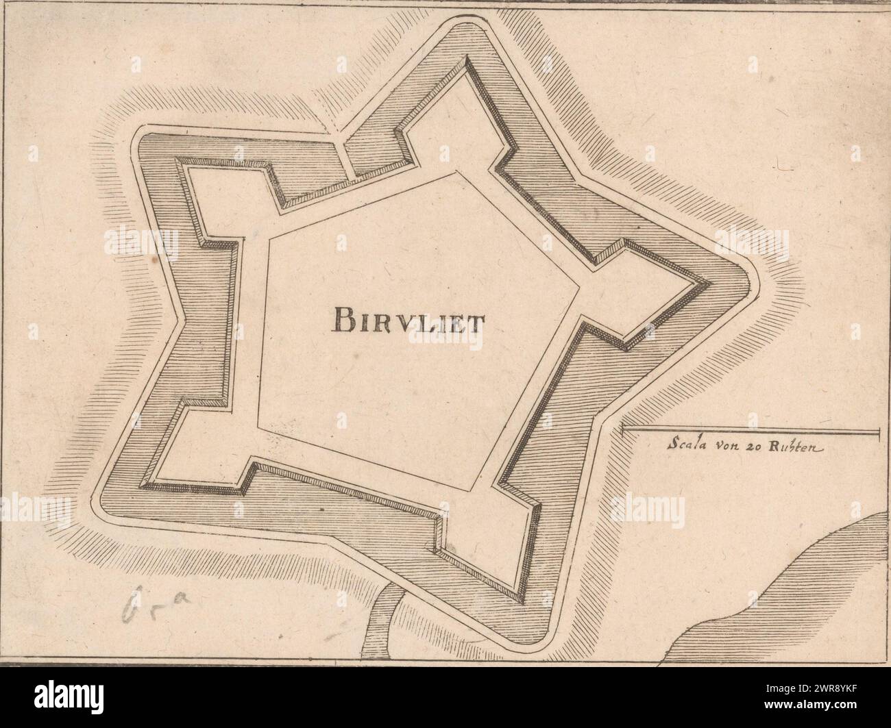 Birvliet hi-res stock photography and images - Alamy