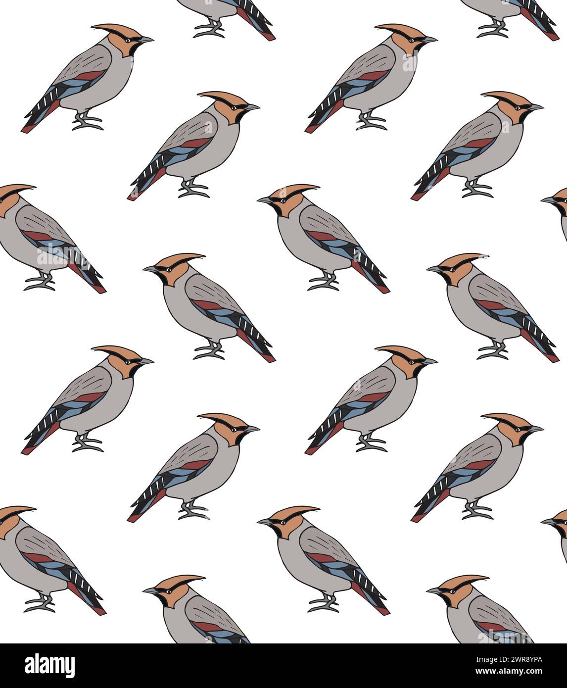 Vector seamless pattern of hand drawn doodle sketch colored waxwing bird isolated on white ...