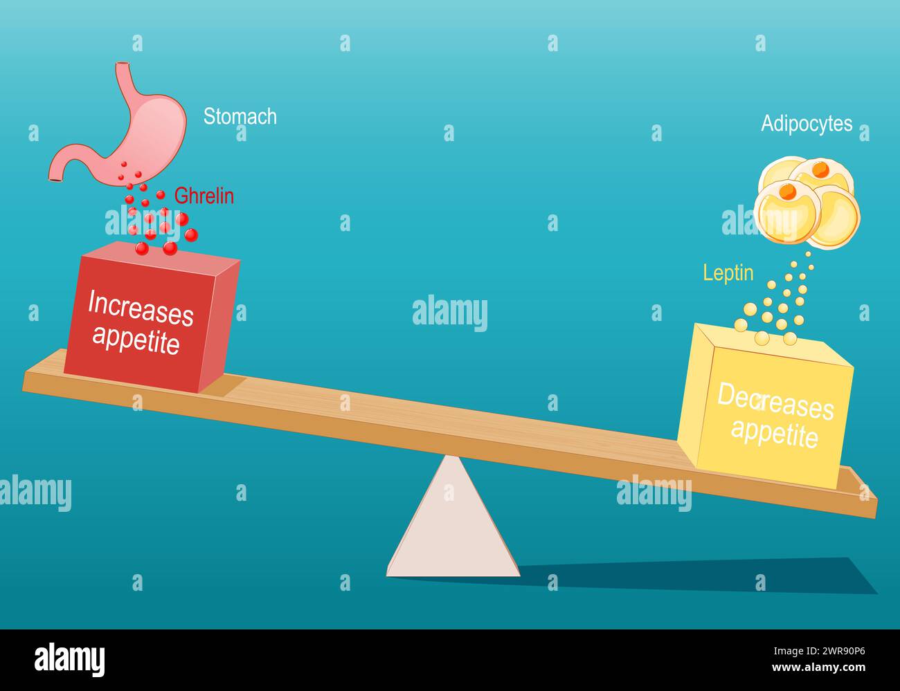 Eating disorder vector vectors hi-res stock photography and images - Alamy