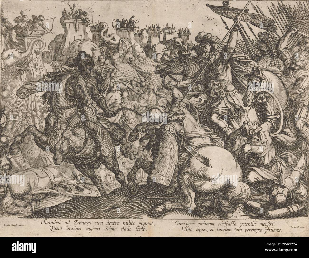 Foreground scipio africanus hi-res stock photography and images - Alamy