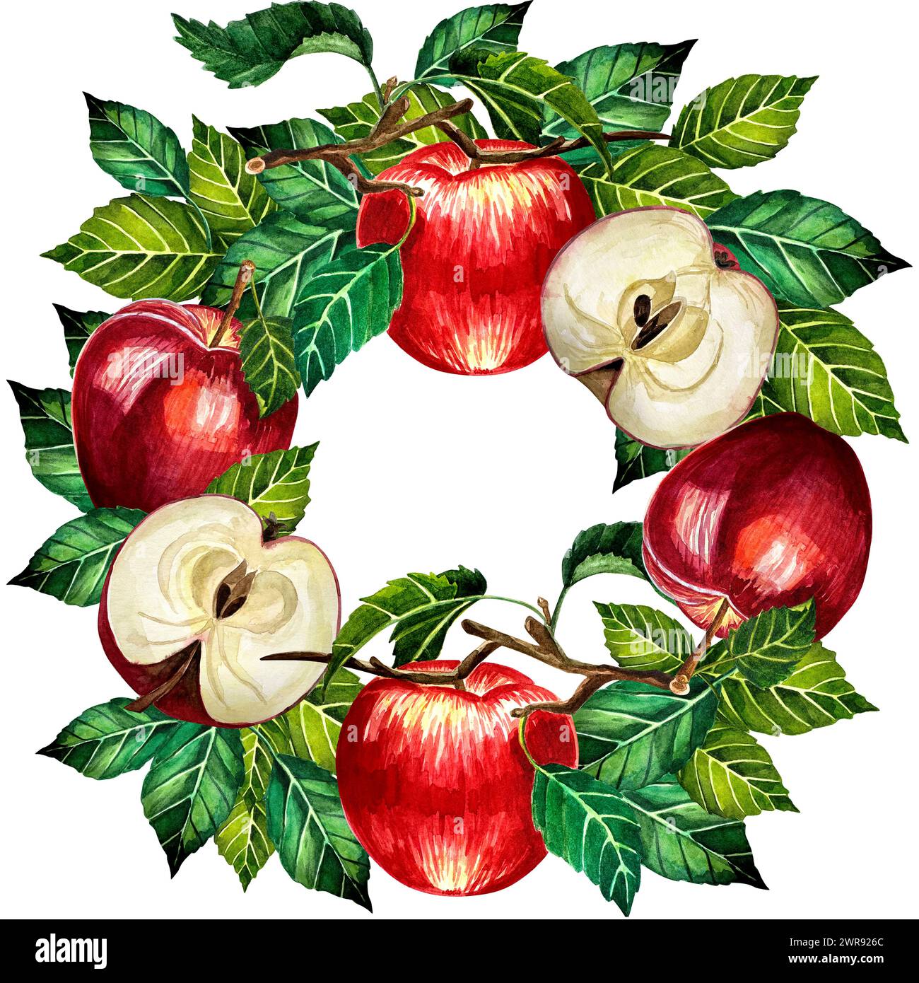 Apple frame botanical illustration. Card design with apple flowers and ...