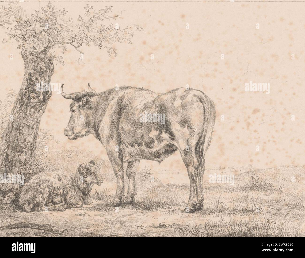 481 mm width hi-res stock photography and images - Alamy