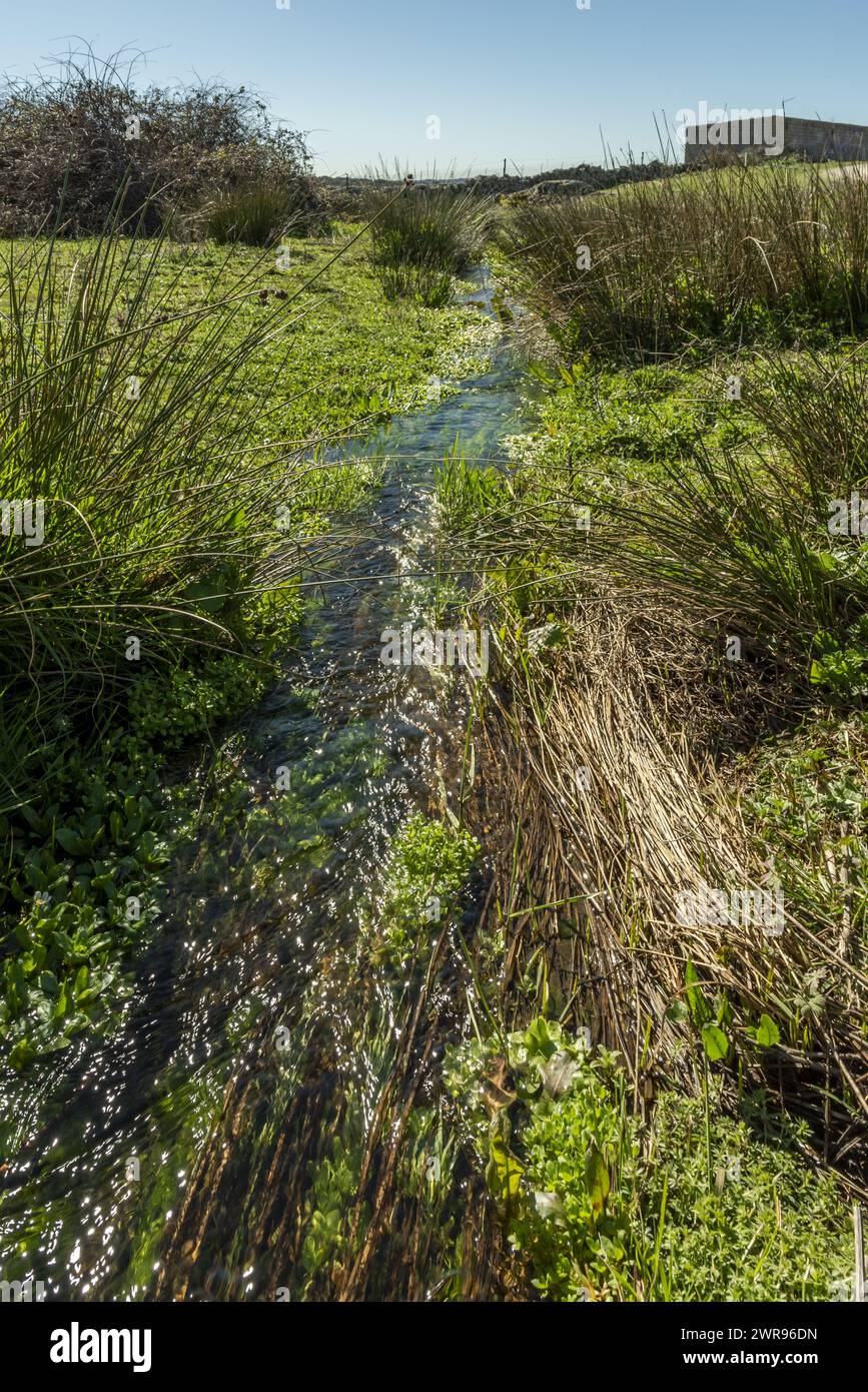 Vegetation challenge hi-res stock photography and images - Alamy