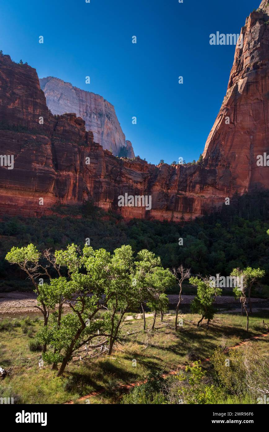 View from valley floor of Angel’s Landing, Zion National Park, Utah ...