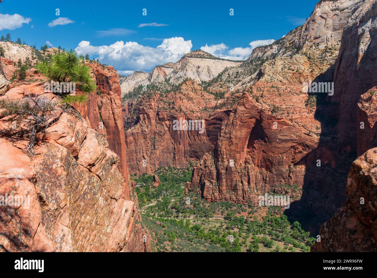 View along Angel’s Landing trail, Zion National Park, Utah, USA Stock ...