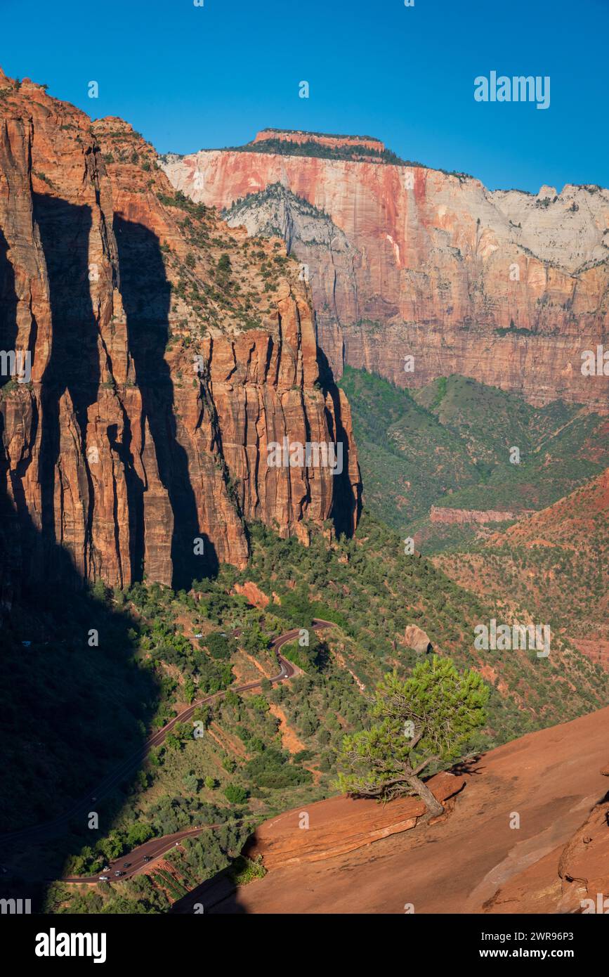Early morning view along the Zion Canyon Overlook Trail, Zion National ...