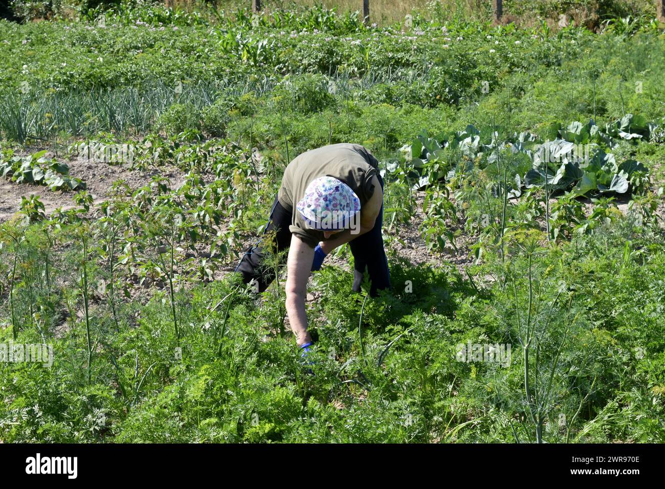 Female bending over hi-res stock photography and images - Alamy