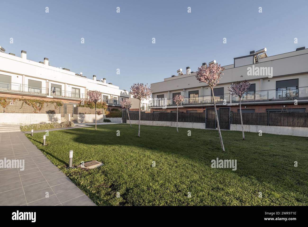 Interior of an urbanization with grass and young trees Stock Photo - Alamy
