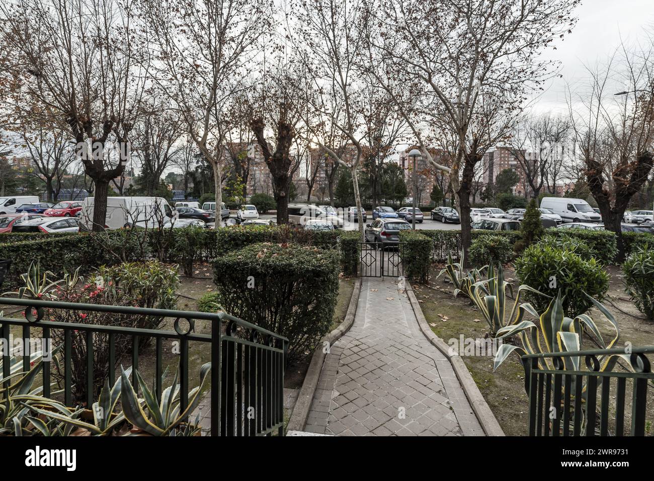 Garden areas with hedges and plants at the access to a home on a street ...