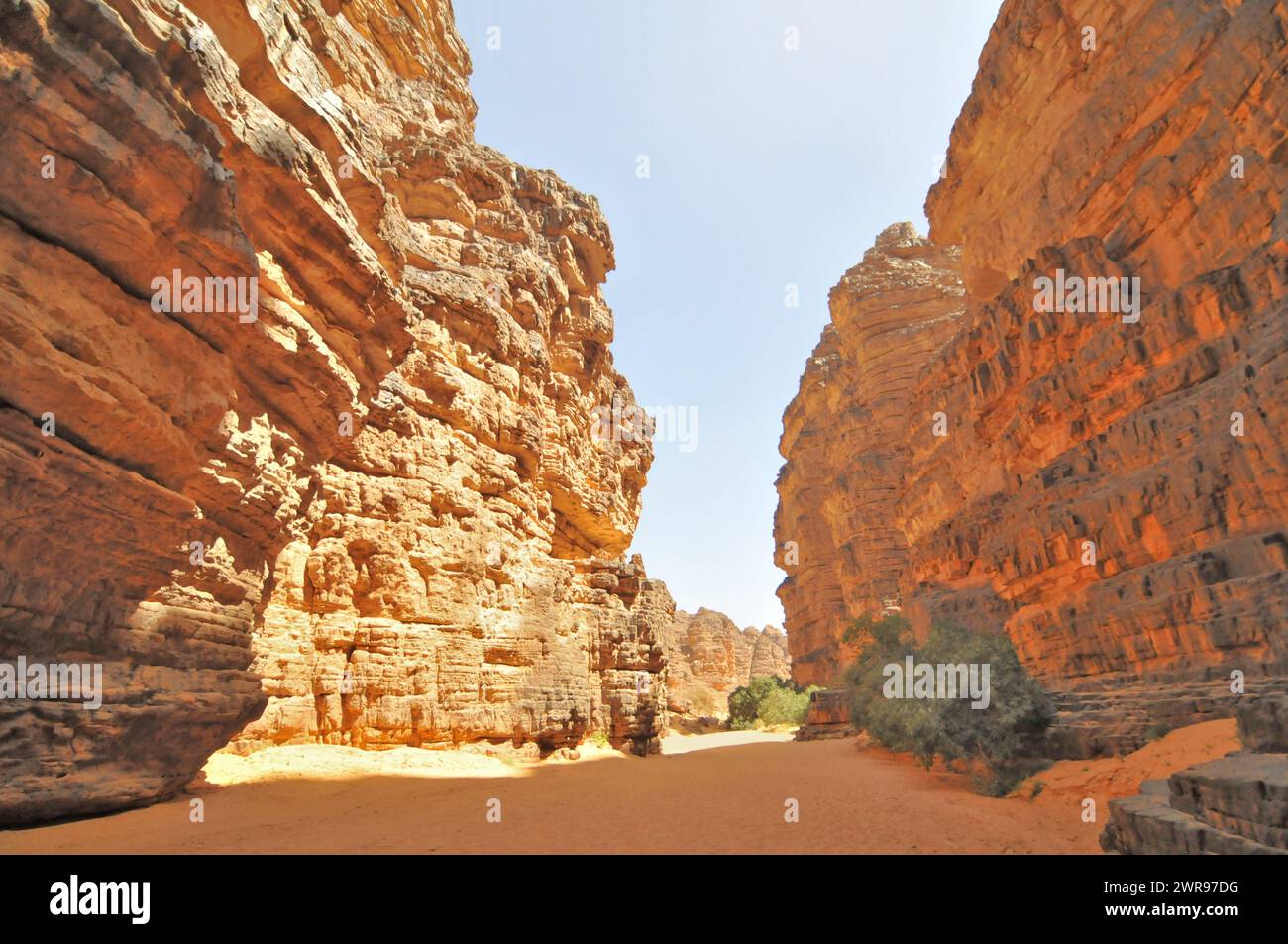 A Saharan oasis located in a canyon in Algeria Stock Photo - Alamy