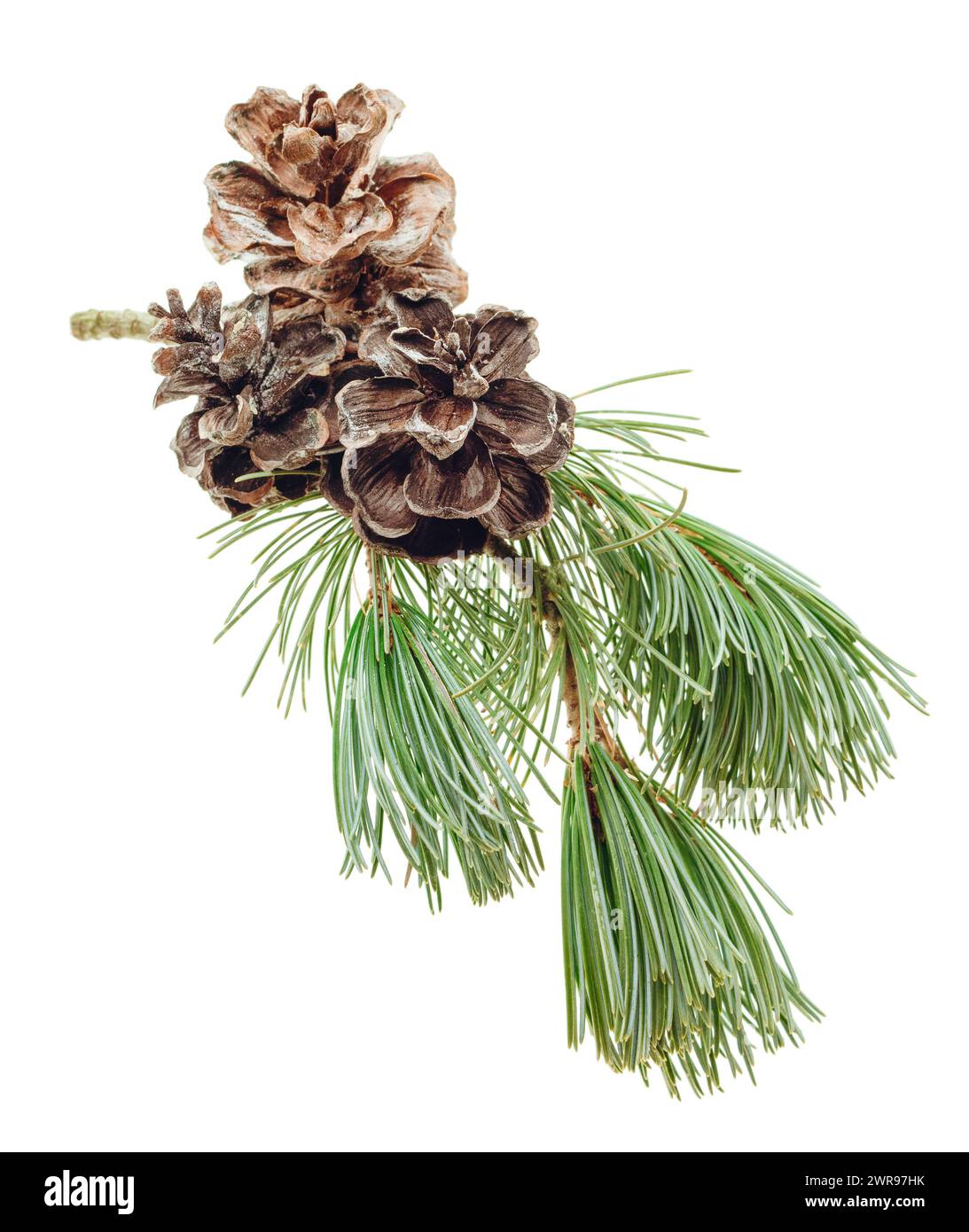 Dekor art hi-res stock photography and images - Alamy