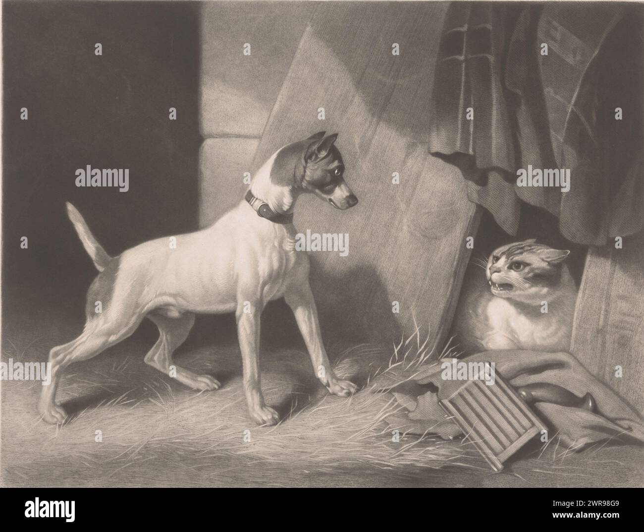 Dreux dog hi-res stock photography and images - Alamy