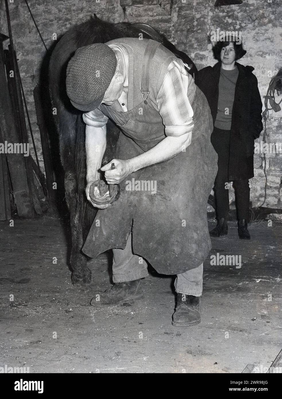 1970s, historical, a farrier at work in a stables shoeing a horse, with ...