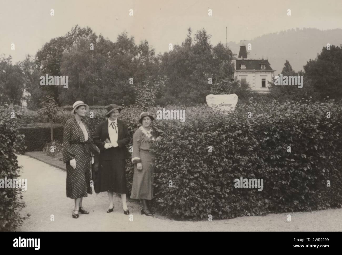 Else wachenheimer moos hi-res stock photography and images - Alamy