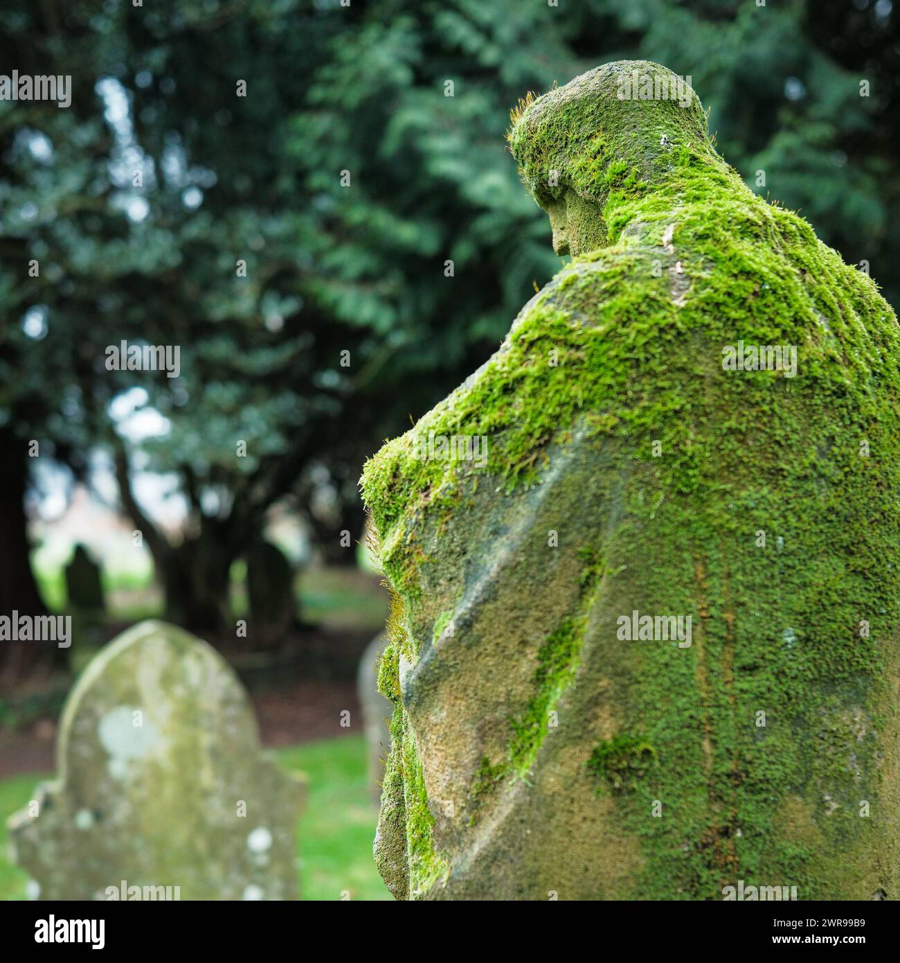 Moss covered angel in UK graveyard Stock Photo - Alamy