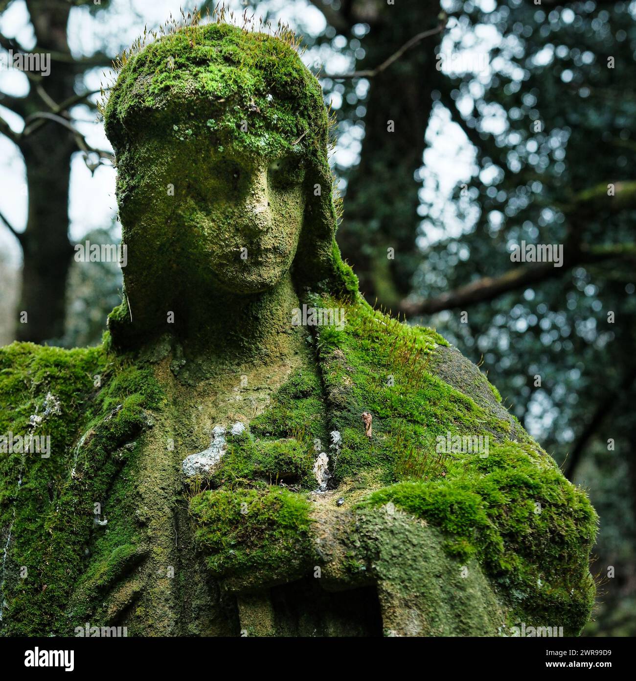 Moss covered angel in UK graveyard Stock Photo - Alamy