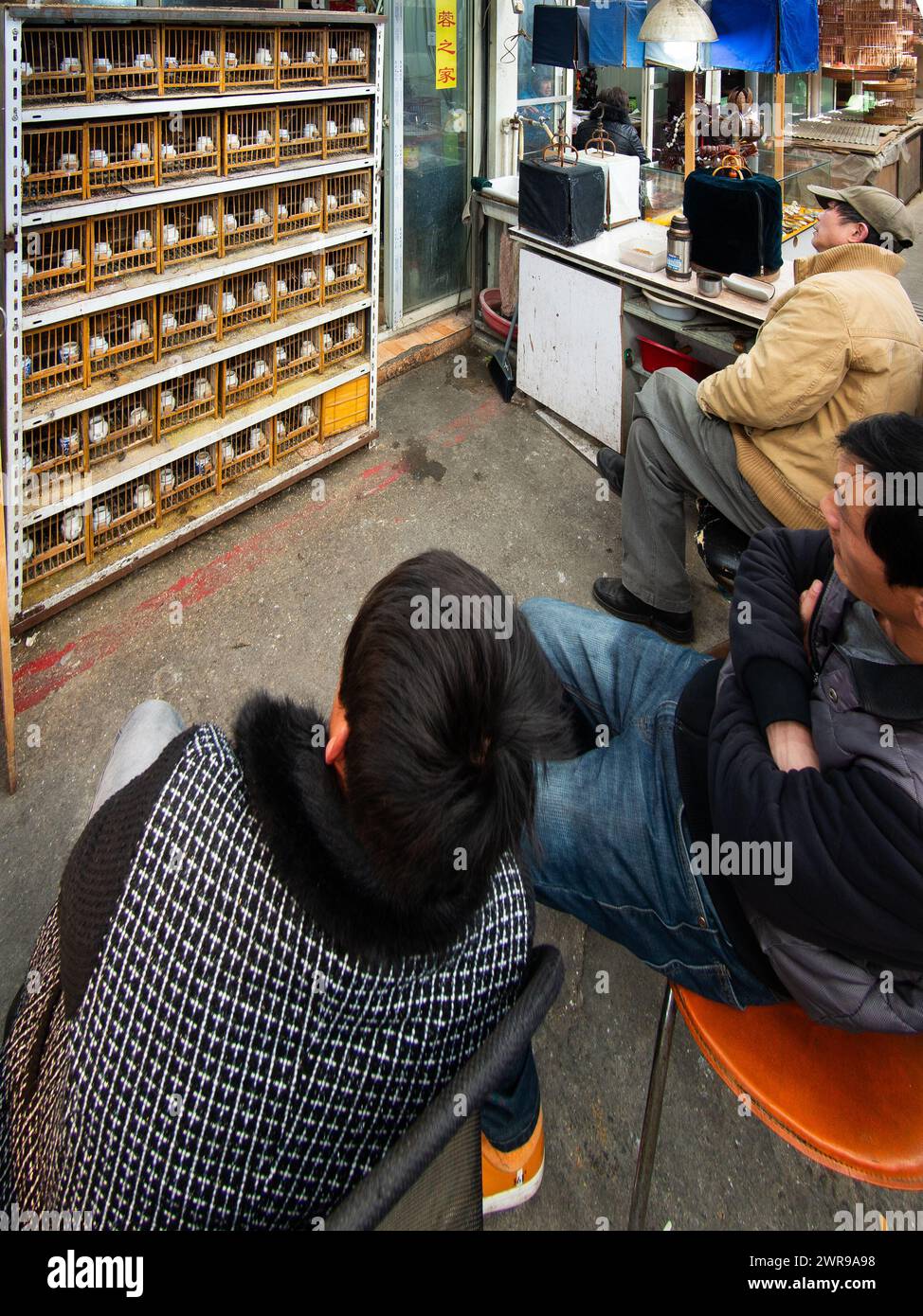 Flower, Bird, Fish & Insect Market, Shanghai, China Stock Photo - Alamy