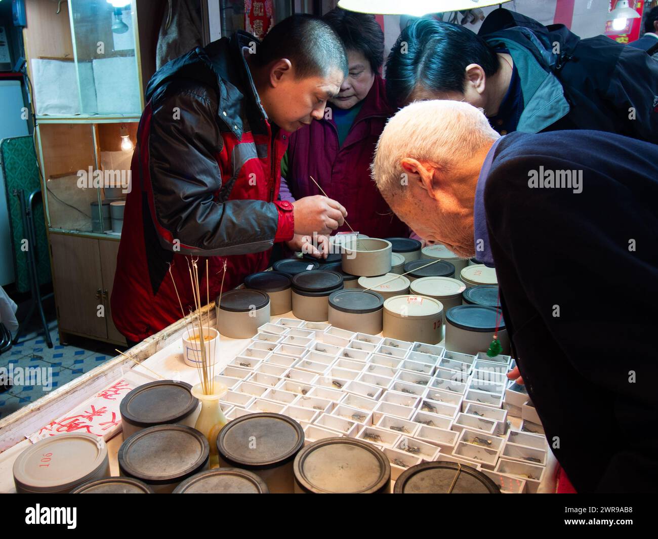 Flower, Bird, Fish & Insect Market, Shanghai, China Stock Photo - Alamy