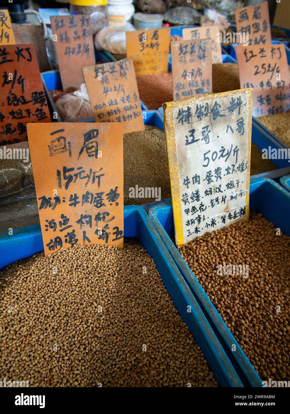 Flower, Bird, Fish & Insect Market, Shanghai, China Stock Photo - Alamy